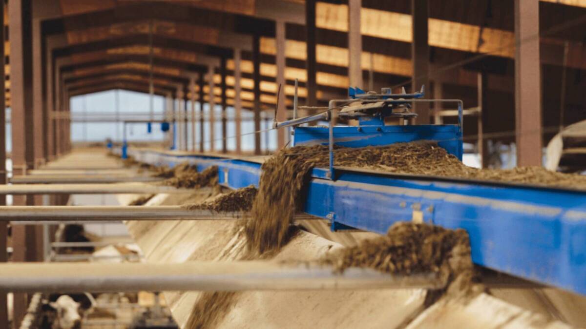 Movable Plow Belt Conveyors/Feeders - Patz Corporation