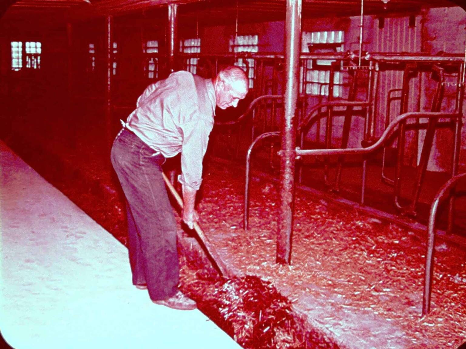 The Barn Cleaner. Where the Patz story begins. - Patz Corporation