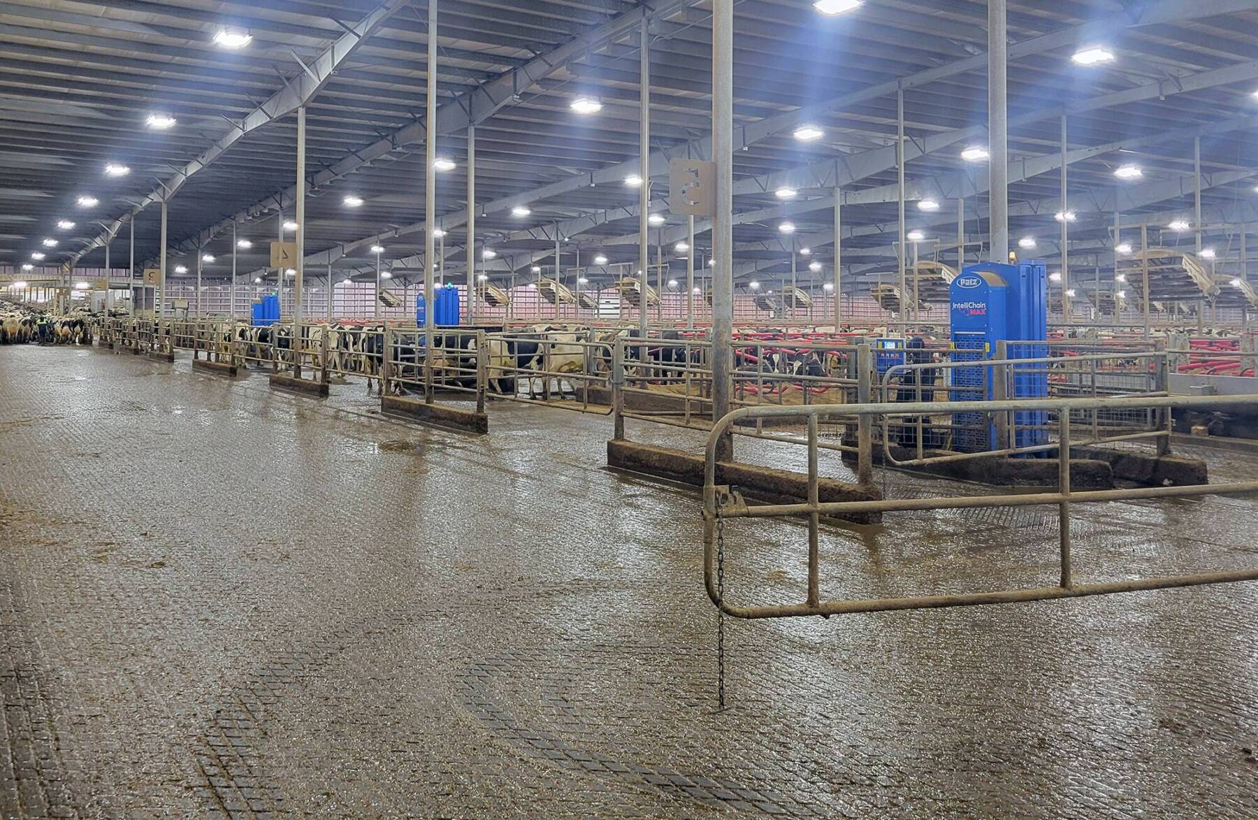 3 Advantages of Alley Scraper Systems vs. Skid Steers - Patz Corporation